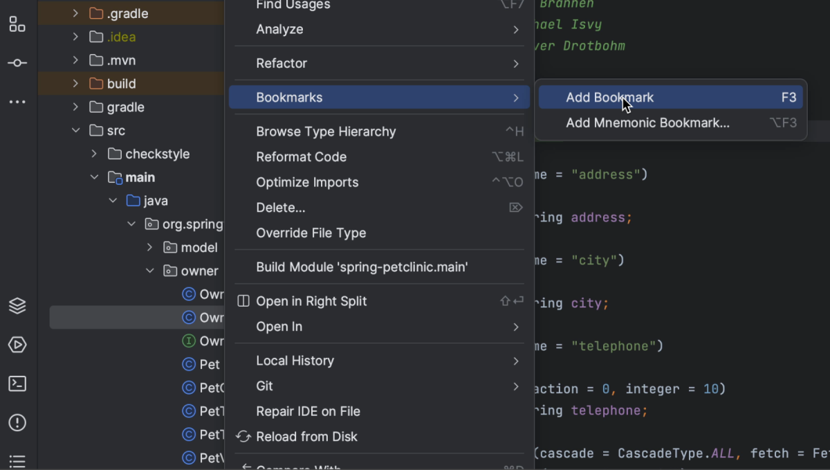 Using bookmarks in IntelliJ IDEA - Marit van Dijk