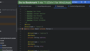 Using bookmarks in IntelliJ IDEA - Marit van Dijk