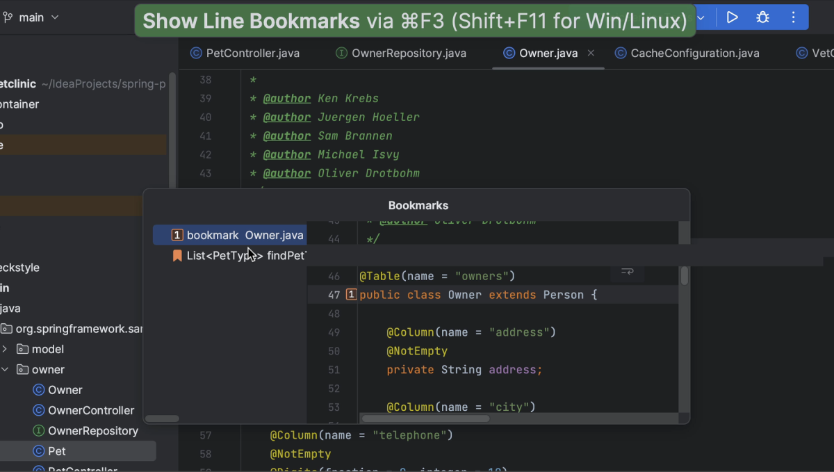 Using bookmarks in IntelliJ IDEA - Marit van Dijk