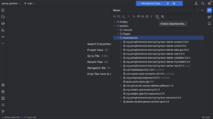 Analyzing dependencies in IntelliJ IDEA - Marit van Dijk