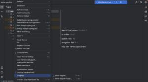 Analyzing dependencies in IntelliJ IDEA - Marit van Dijk